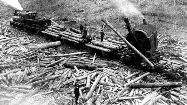 1800 S Logging Photos